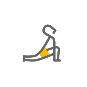 Le Singe Yoga Studio / icons-ashwa-sanchalanasana-yoga